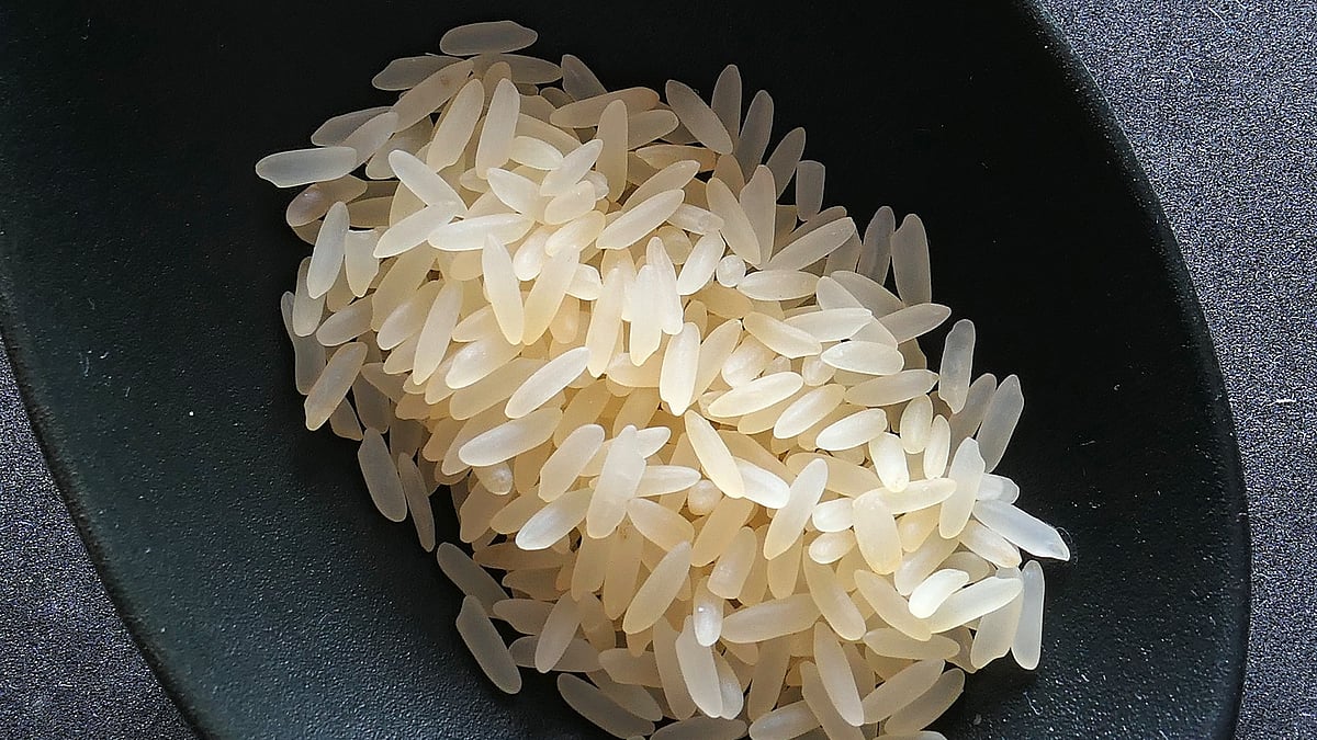 A cultural map drawn with rice