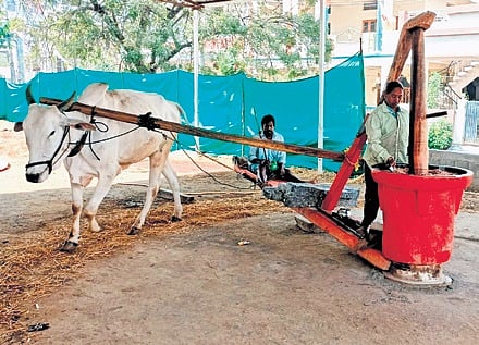Telangana: Health-conscious Karimnagar people swear by cold-pressed oil