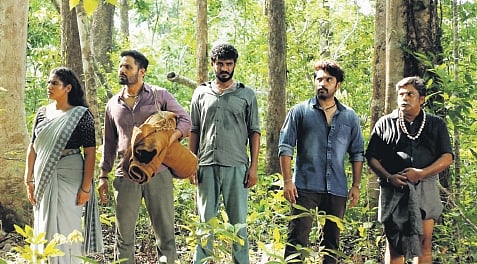 'Forest' movie review: A rollercoaster of comedy, thrills, and ...