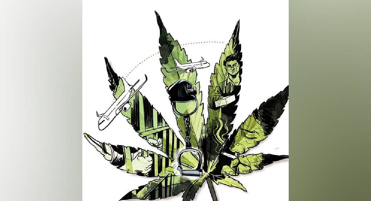 Ganja case: Student visa cancelled
