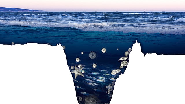 New study provides insights into how some species thrive in oxygen-free ...