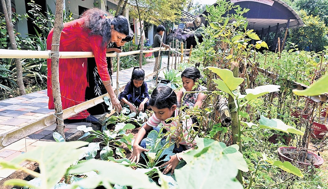 Support pours in as Thycaud’s little farmers lose their harvest to theft