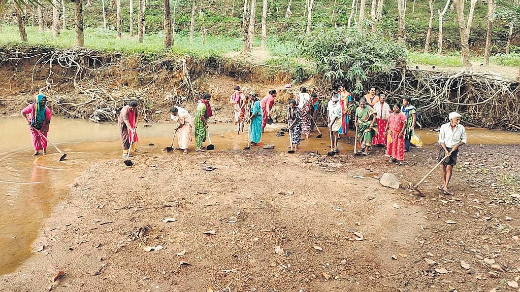 Haritha Kerala Mission reclaims 2,742.44 km of watercourses in Western ...
