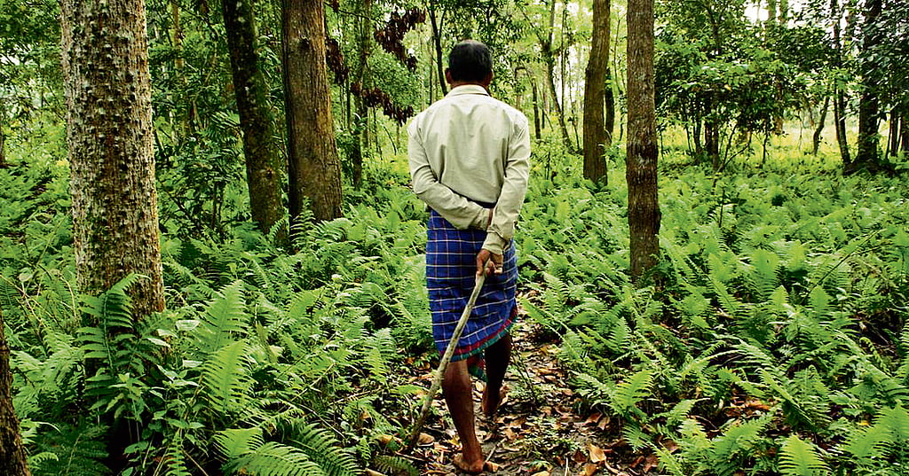 Forest Rights Act: A new dawn