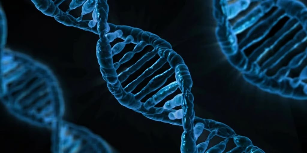 Genes play a crucial role in finding drugs that body needs: Study