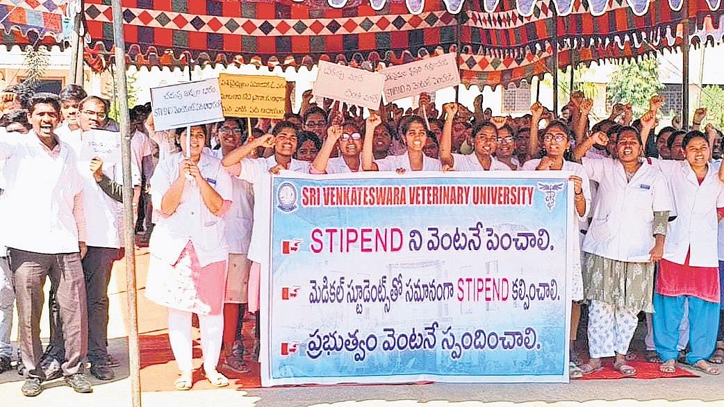 AP veterinary students protest low stipends, demand parity with MBBS ...