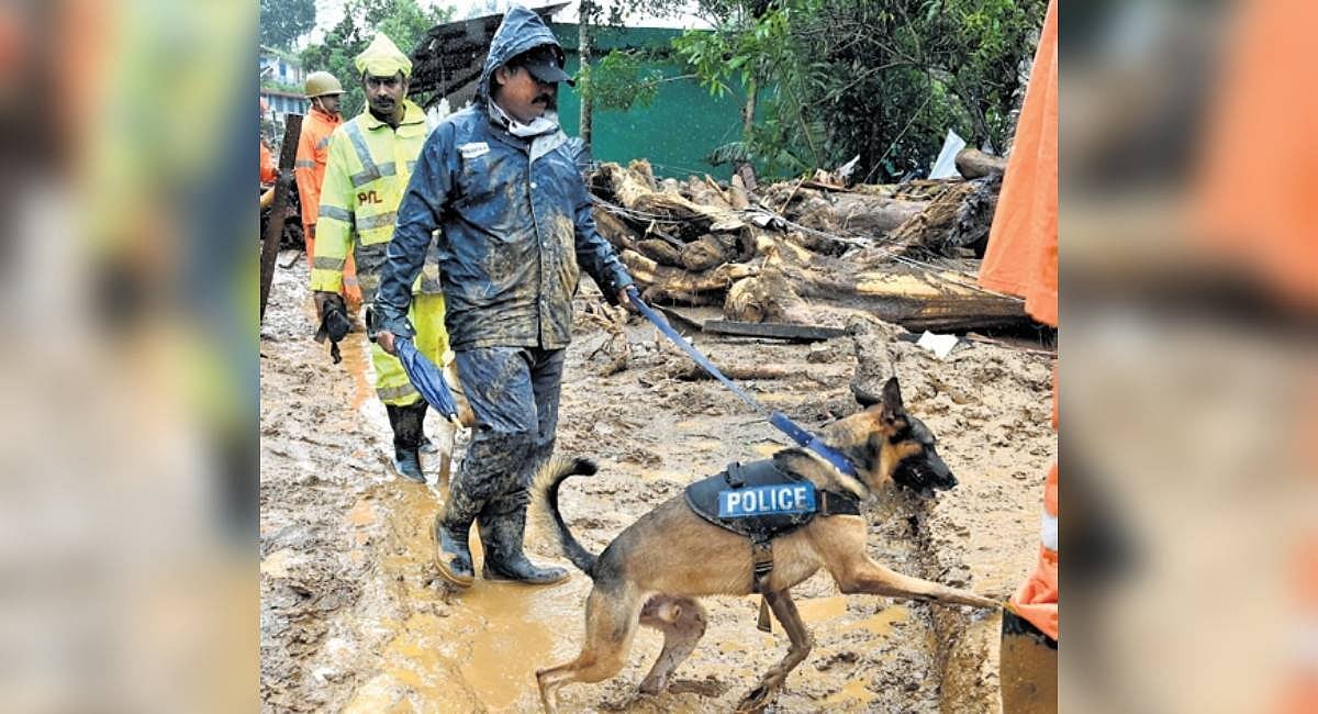 Kerala Police cadaver dogs join rescue operations in Telangana