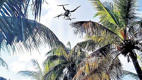 Anna University deploys fuel-operated drones to combat whiteflies in ...