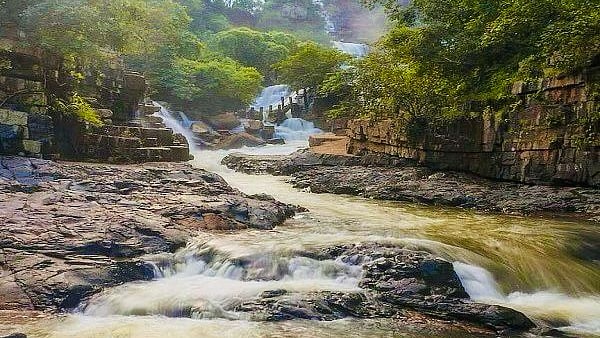 Chhattisgarh’s Kanger Valley National Park to be India's new UNESCO ...