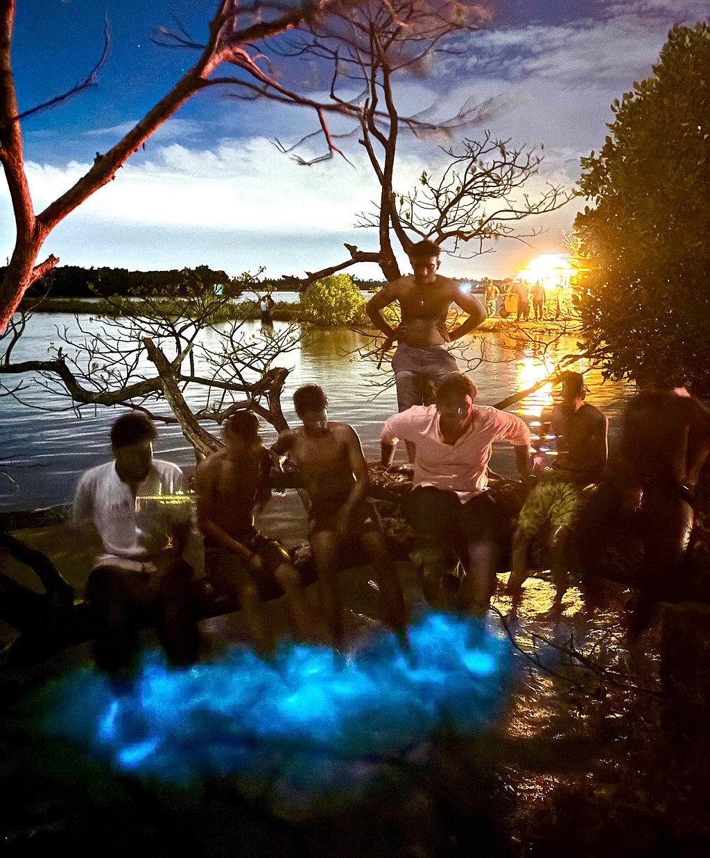 It's shakalaka blue bloom @ 'Kumbalangi Nights'