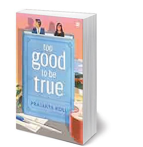 'Too Good to be True'book review An easy-peasy love story