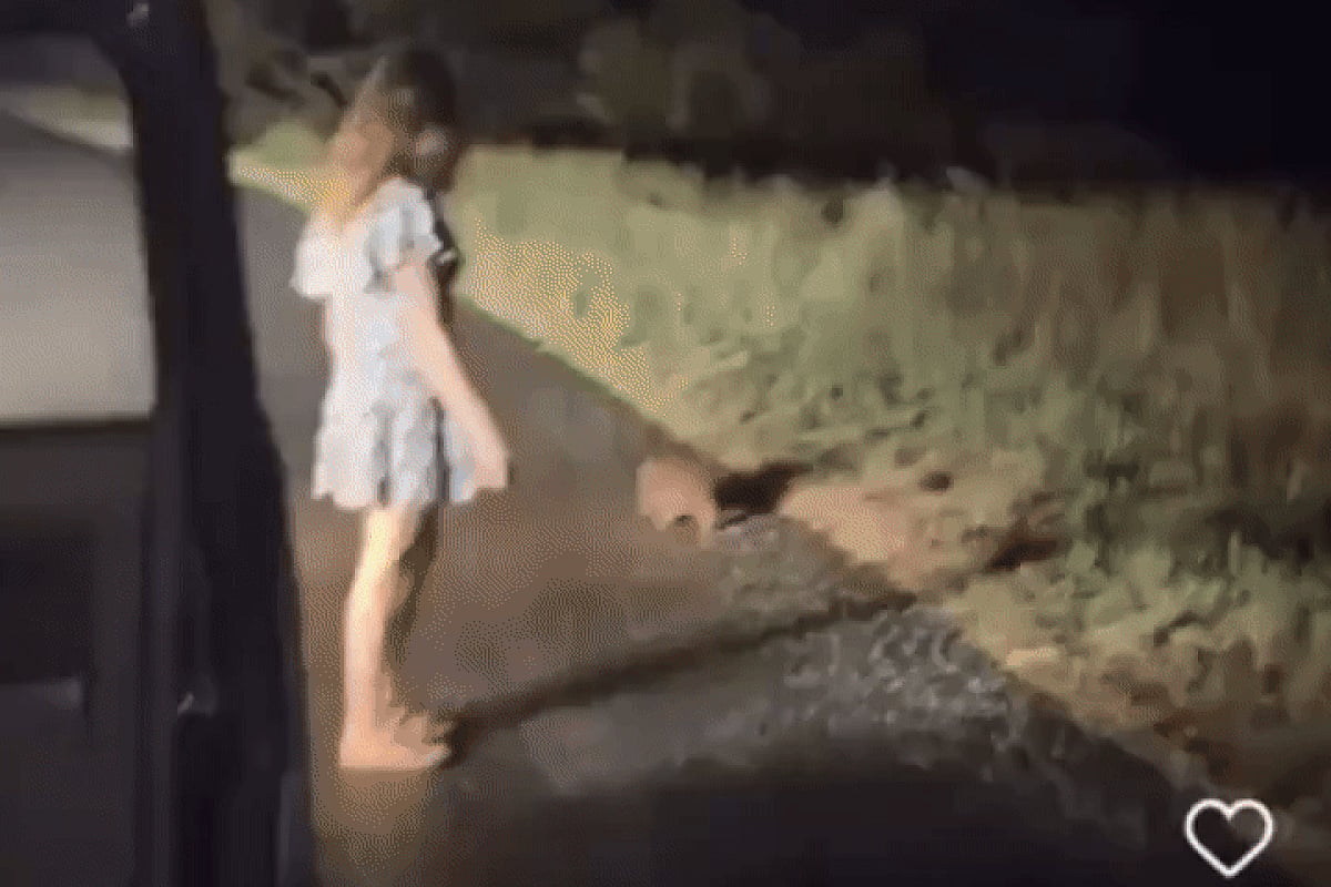 American influencer leaves Australia after outrage over wombat joey ...
