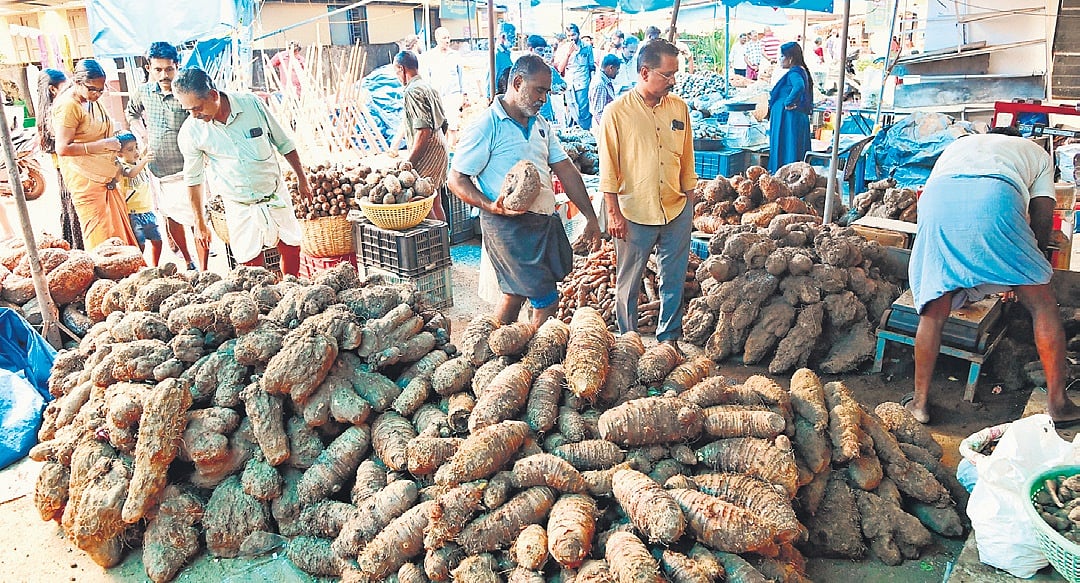 Omallur farm fair: Portal to timeless agricultural heritage
