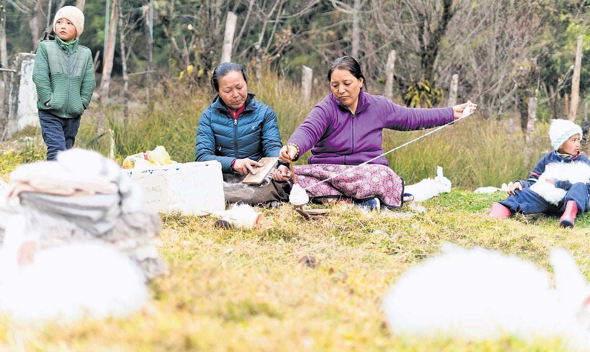 Crafted Fibers: Sikkim’s visionary brand fuses cultural heritage with ...
