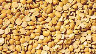 Tur dal prices crash to two-year low