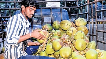 Tender coconut prices go up in Bengaluru