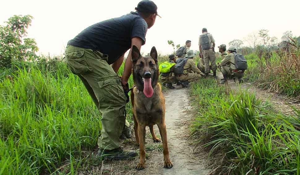 Guwahati Diary | Sniffer dogs to combat crimes against wildlife