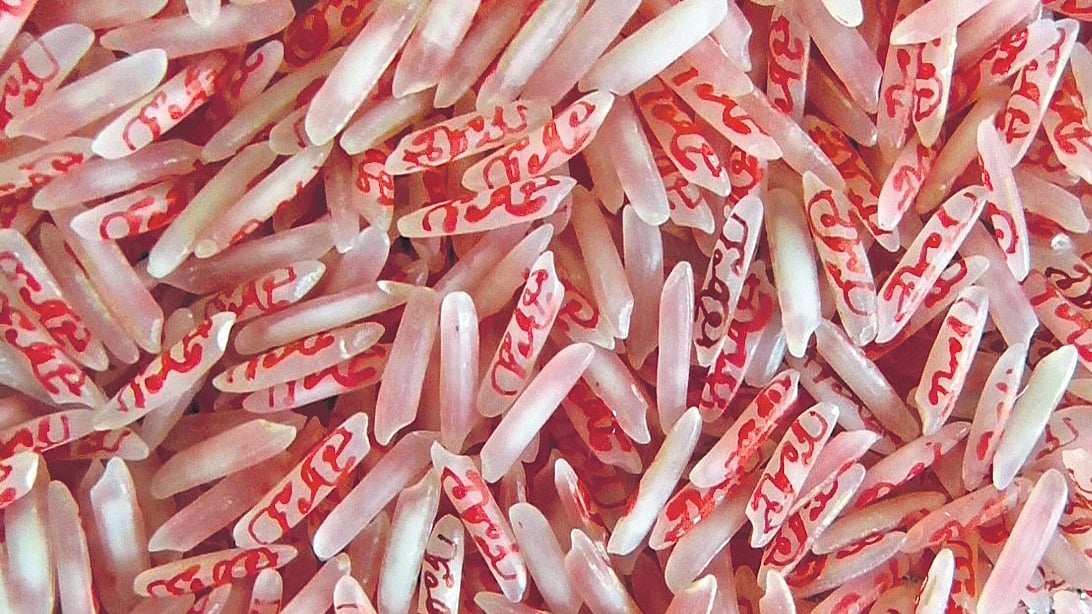 Meet the woman who inscribed ‘Rama’ on 10.5 lakh rice grains