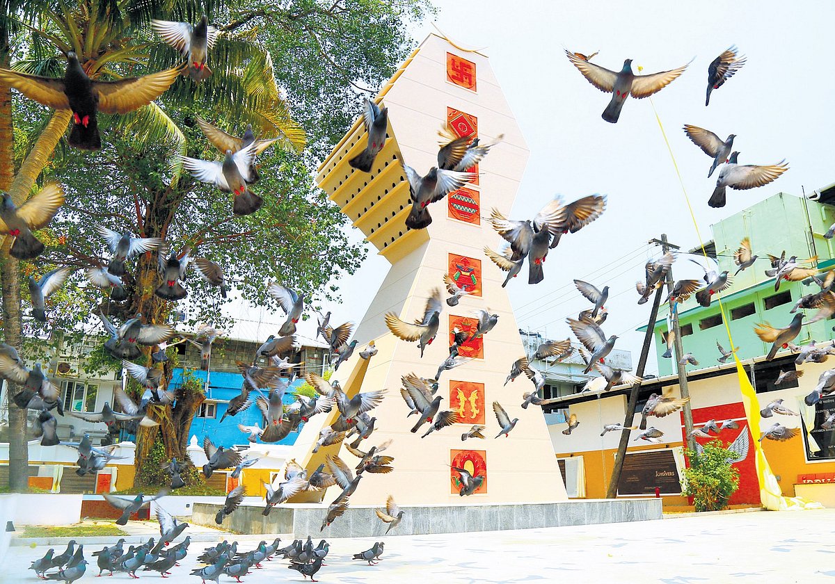 Birds check in as Mattancherry Jain temple gets ‘300-room’ birdhouse