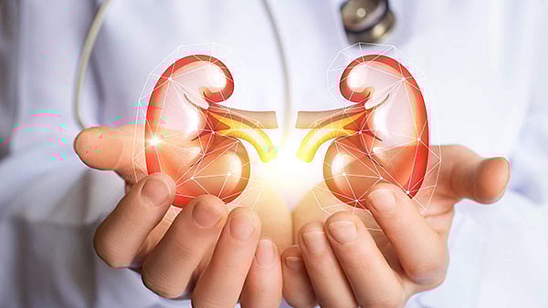 Brain-dead Kerala teen’s organs donated; kidney flown on commercial ...