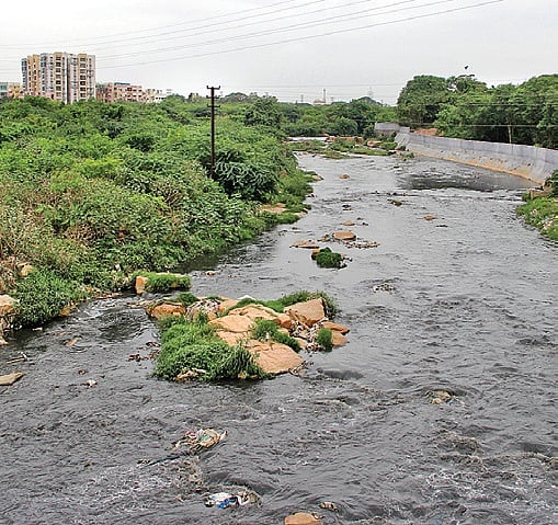 Telangana government sets up panel to regulate Musi, Esa riverfront ...