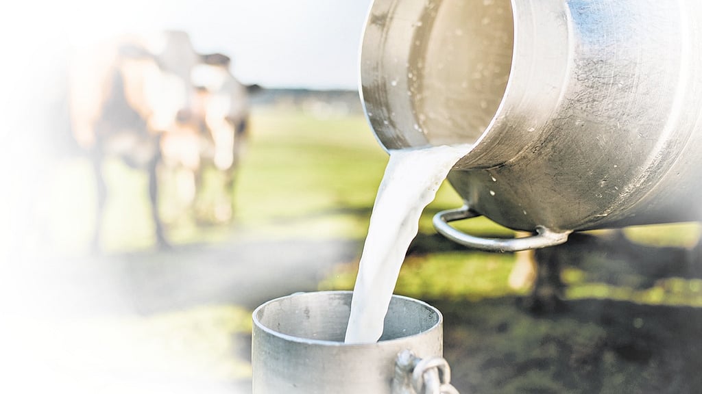 Six milk co-operative societies revived in Madurai district
