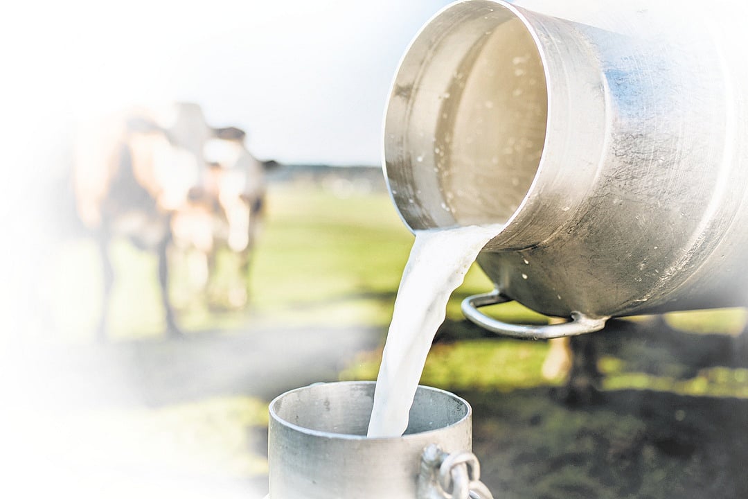 Aavin is the cheapest cooperative milk brand in country, says minister ...