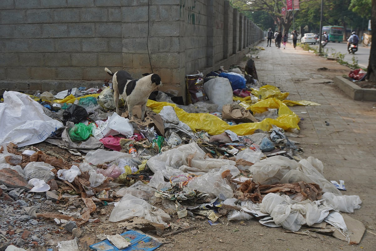 BBMP chief justifies garbage cess for waste management