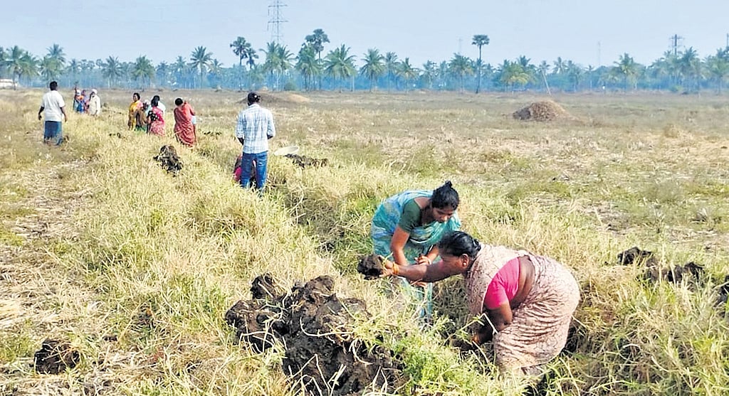 Parliament panel slams govt for keeping MGNREGS funding static at Rs ...