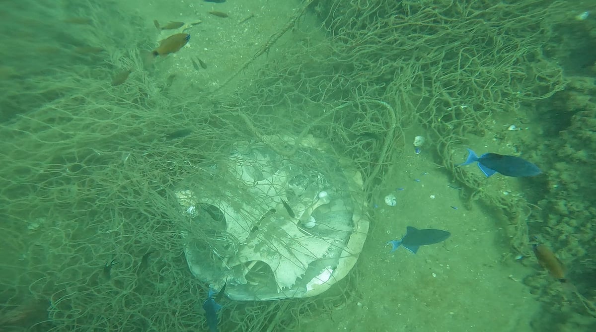 Scuba divers videograph trawl nets in Chennai reefs