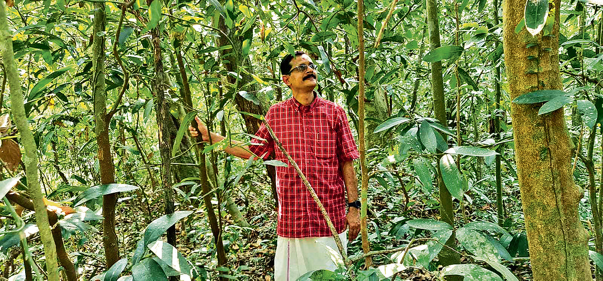 Songs from the kaavu: A Kerala forest scientist's experiments with music