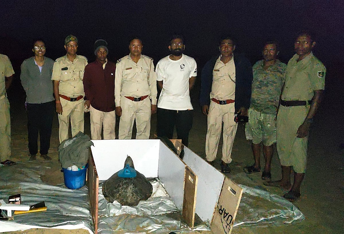 Two Olive Ridleys make a 1,000 km run to Sri Lanka in a month