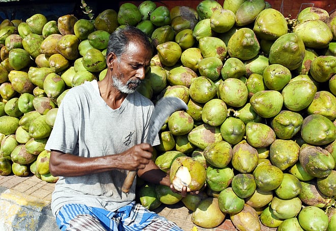 Tender coconut stalls by farmers to open at five railway stations in ...