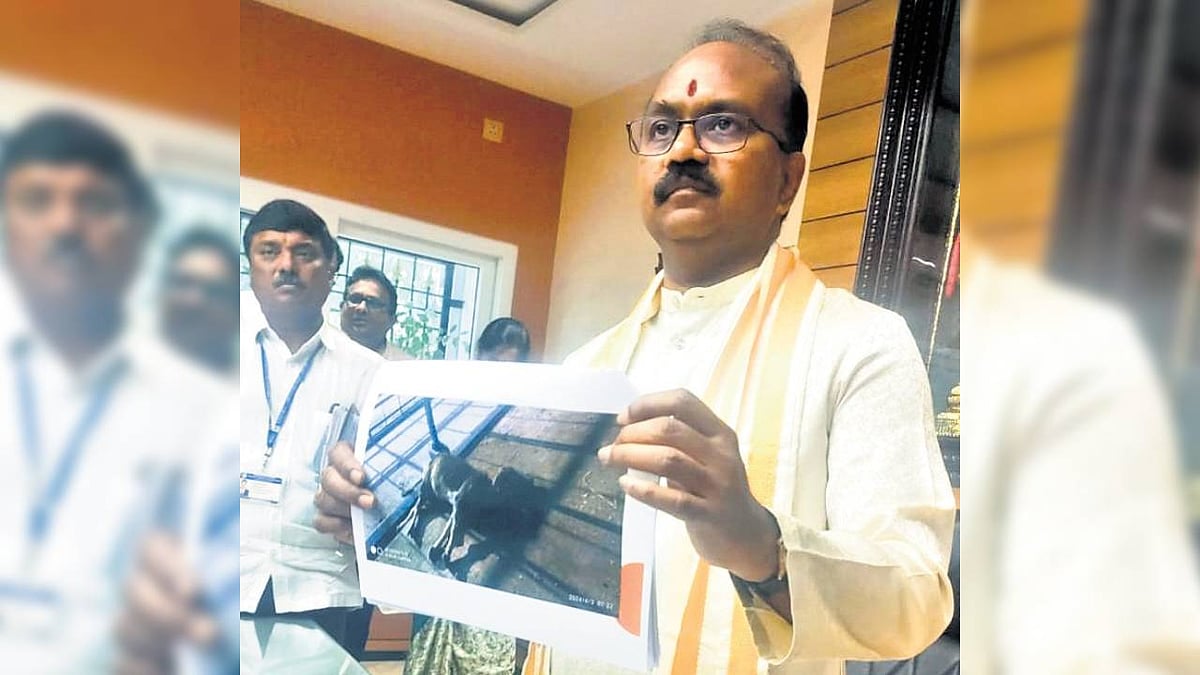 TTD EO hits back, says cow deaths above ‘normal’ during YSRCP rule