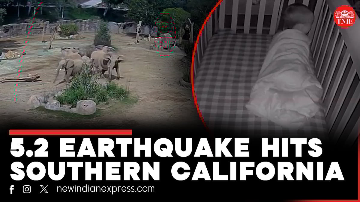 5.2 magnitude earthquake strikes San Diego in US' Southern California