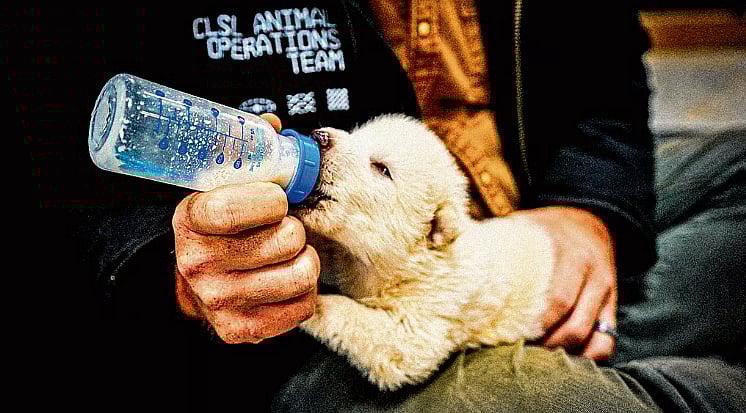 How Dire is the Problem