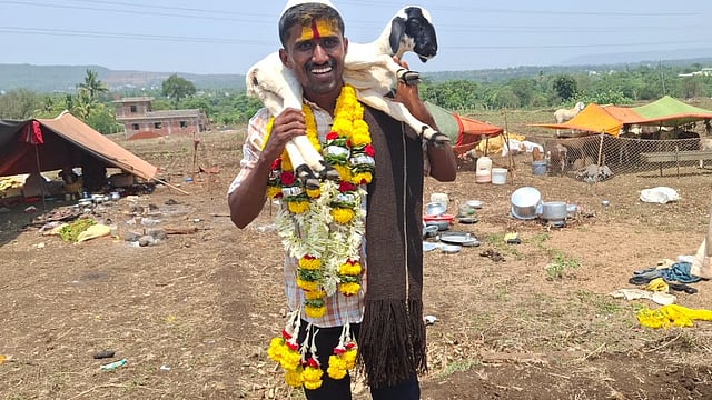 Shepherd's son gets word of UPSC success while grazing sheep, family ...