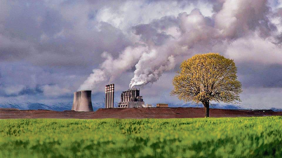 Ozone pollution puts essential crops in peril, reveals new study