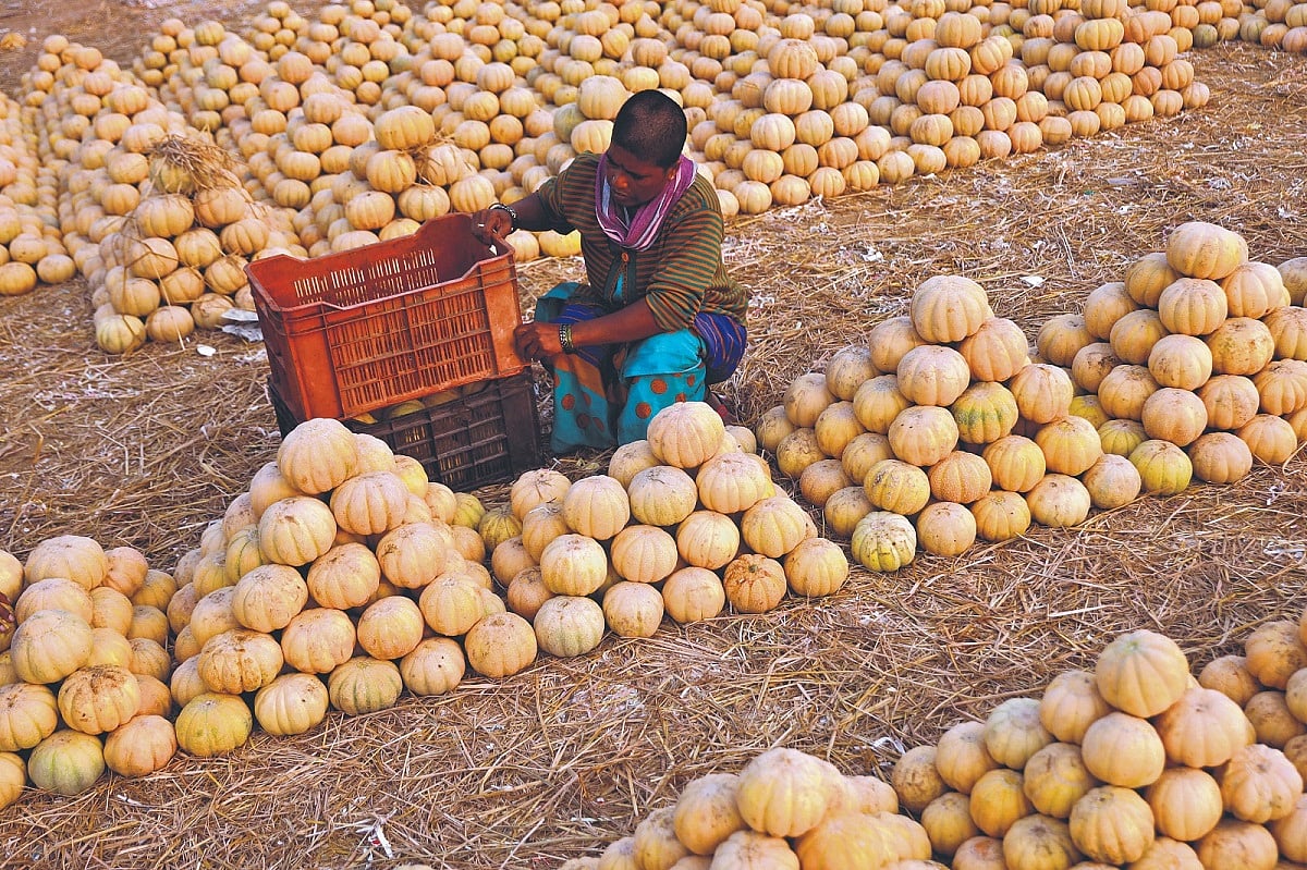 A fruitful visit at Batasingaram Fruit Market