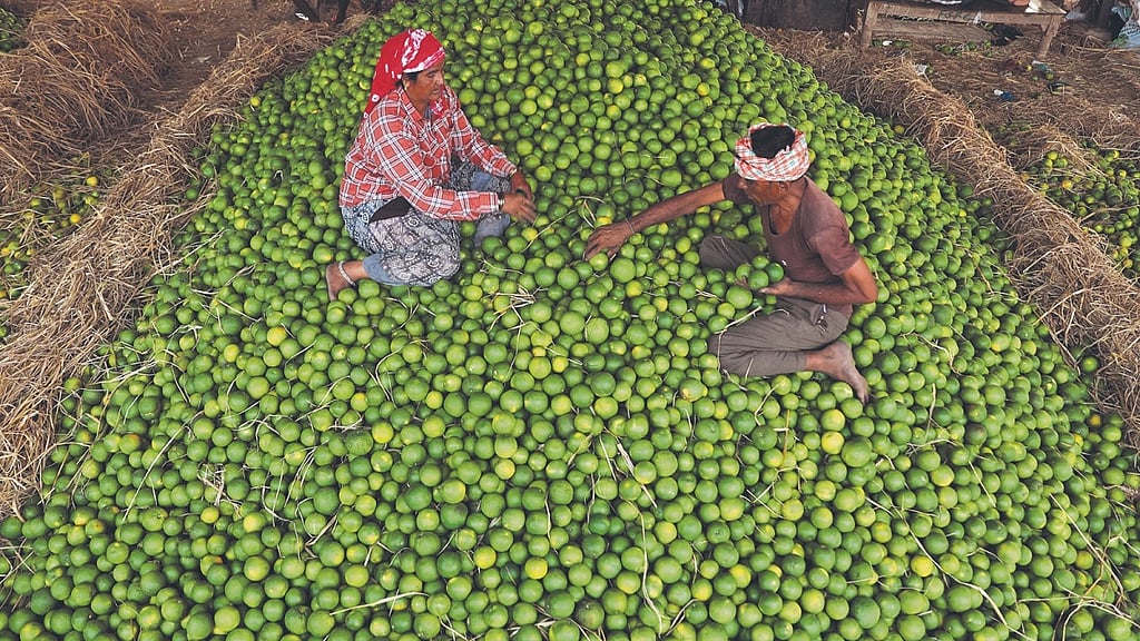 A fruitful visit at Batasingaram Fruit Market