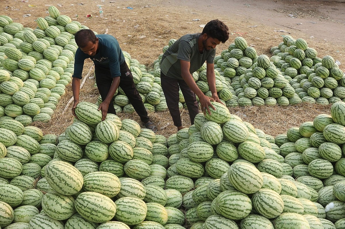 A fruitful visit at Batasingaram Fruit Market