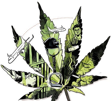 Hybrid & hydro: New varieties more potent but law same as regular ganja