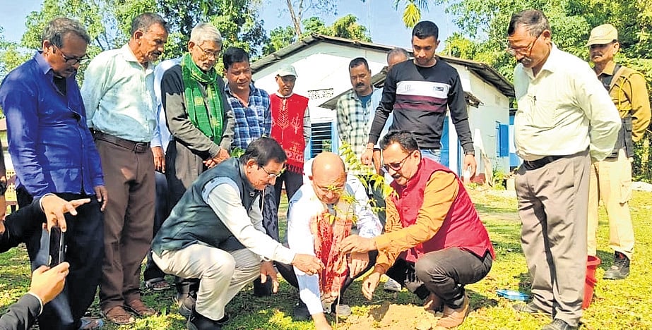 Planting trees, protecting futures: Assam’s Ananda Khataniar’s green ...