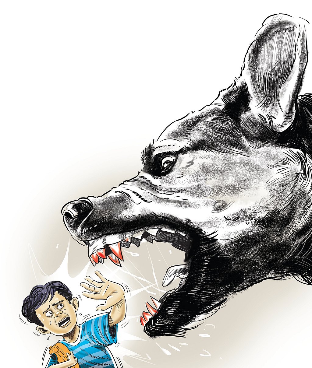 Rabies deaths raise concern over treatment procedures in Kerala