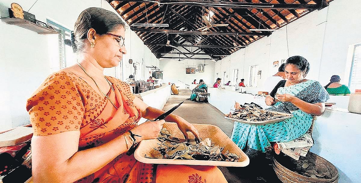 Kerala Dinesh Beedi merges its branches as struggle for survival continues
