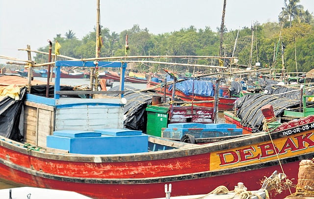 Fishing ban sends seafood prices up in Kendrapara
