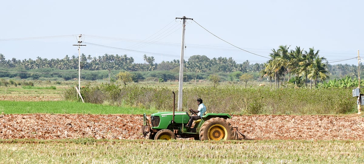 Kuruvai cultivation target set at 13,758 acres in Tiruchy; officials ...