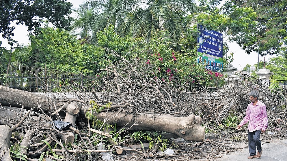 SWD project: BBMP secures D1,600 crore World Bank loan