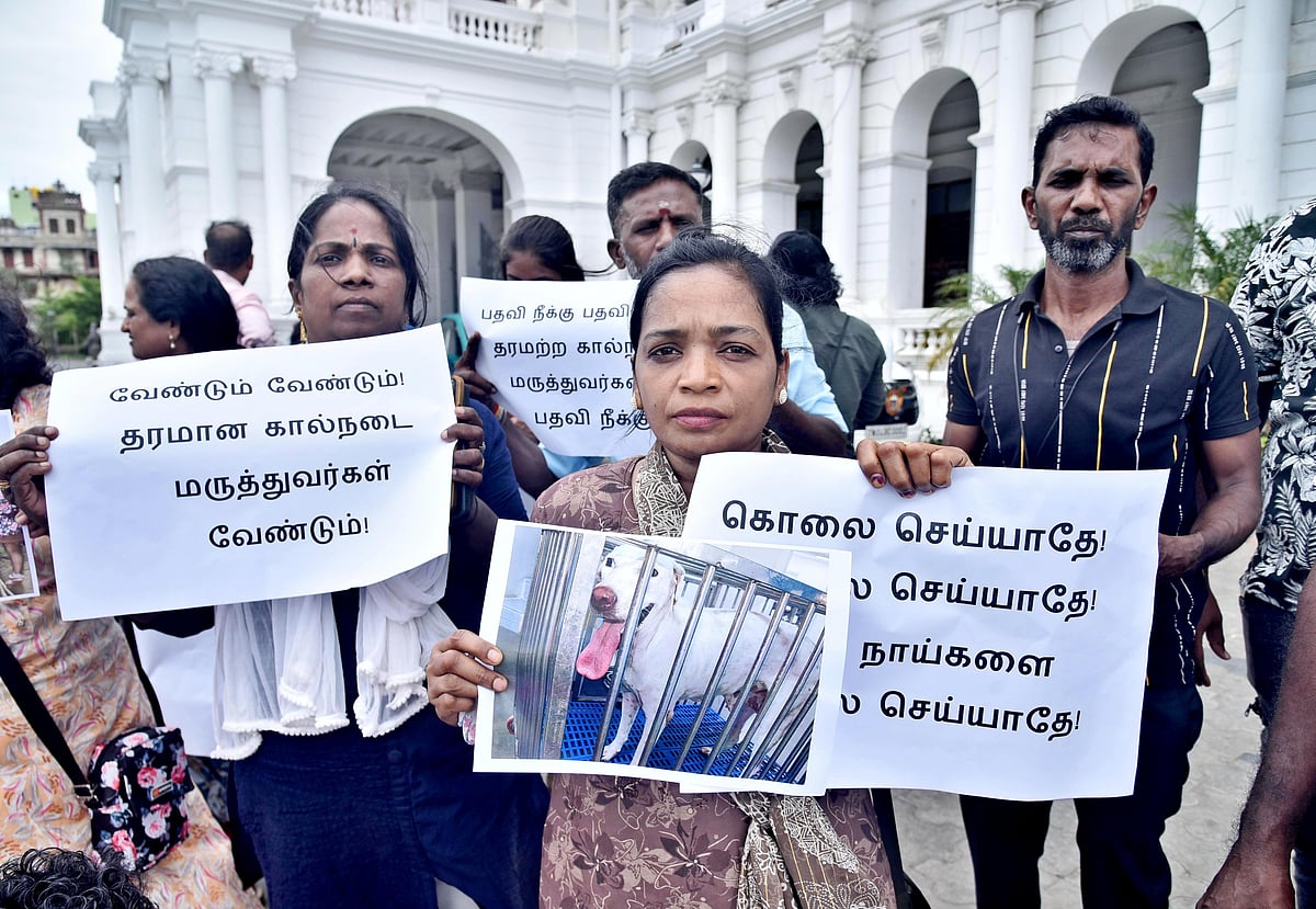 Stir against ‘botched’ ABC surgeries at Chennai's Pulianthope