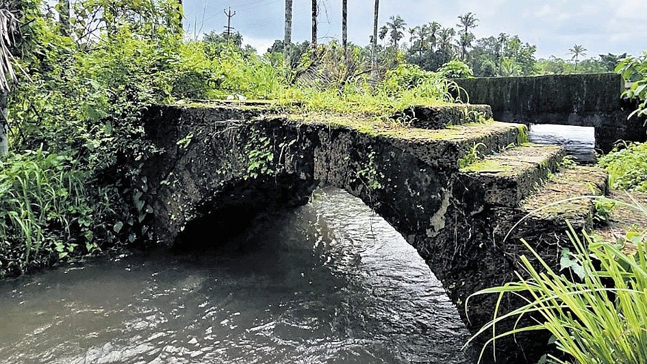 90-year-old bridge in Kerala's Karivellur captivates residents